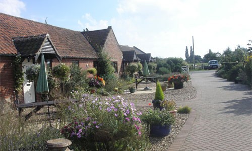 Brecklands | The Brecks | Discover Norfolk