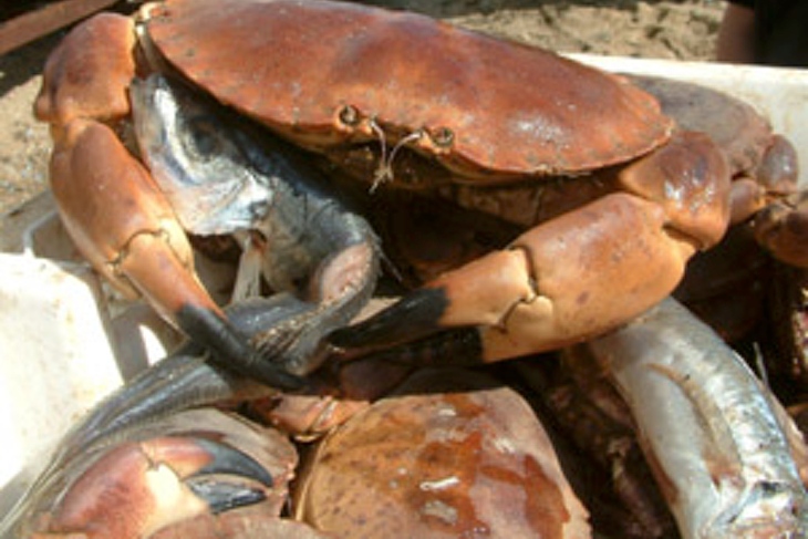 Norfolk Coast | Sunshine Coast | Discover Norfolk