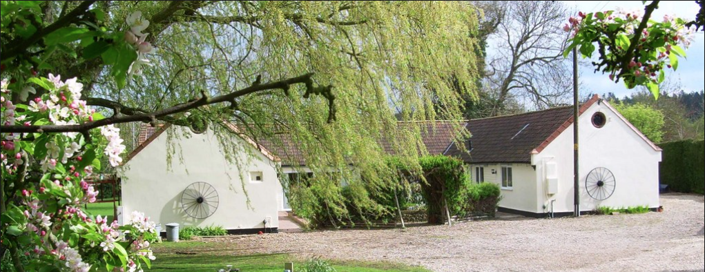 Brecklands | The Brecks | Discover Norfolk