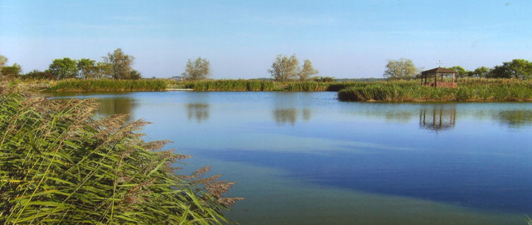 Reedham Ferry | Boat Trips | Discover Norfolk