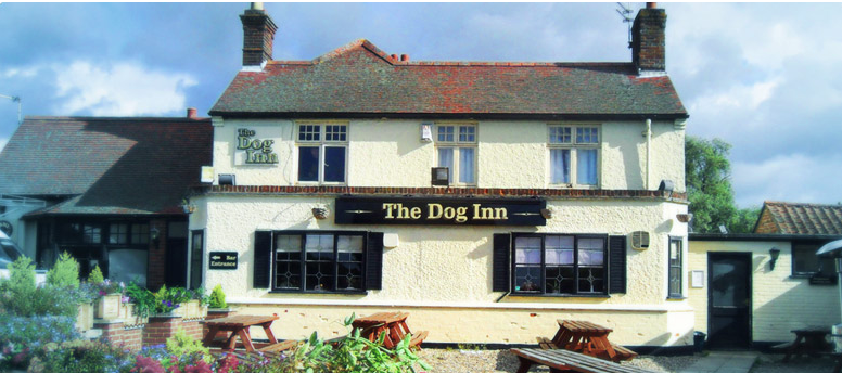 Dog Pub and Dining | Camping | Discover Norfolk