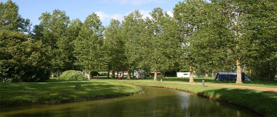 Reedham | Places | Discover Norfolk