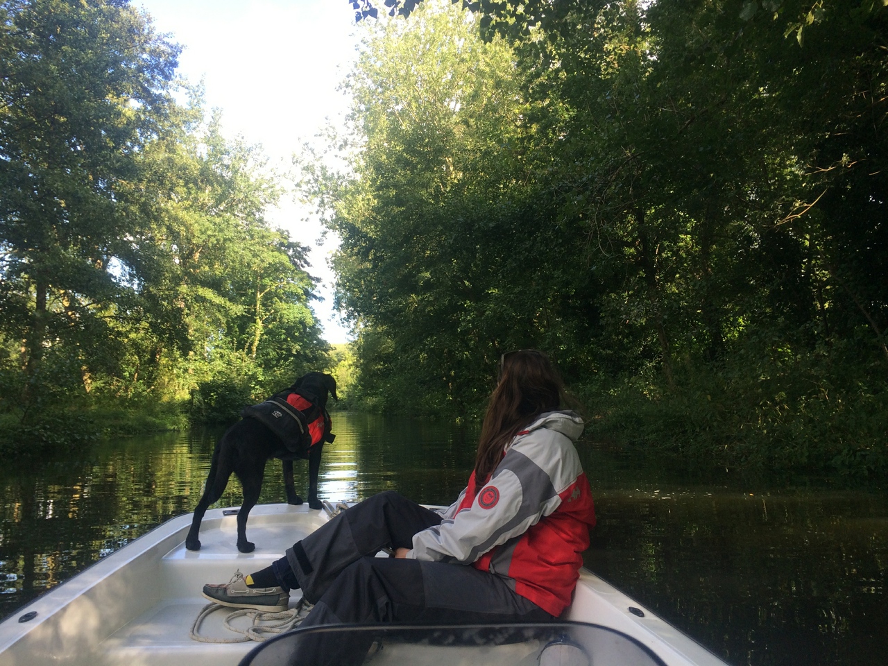 River Trip to Coltishall | The Norfolk Broads | Discover Norfolk