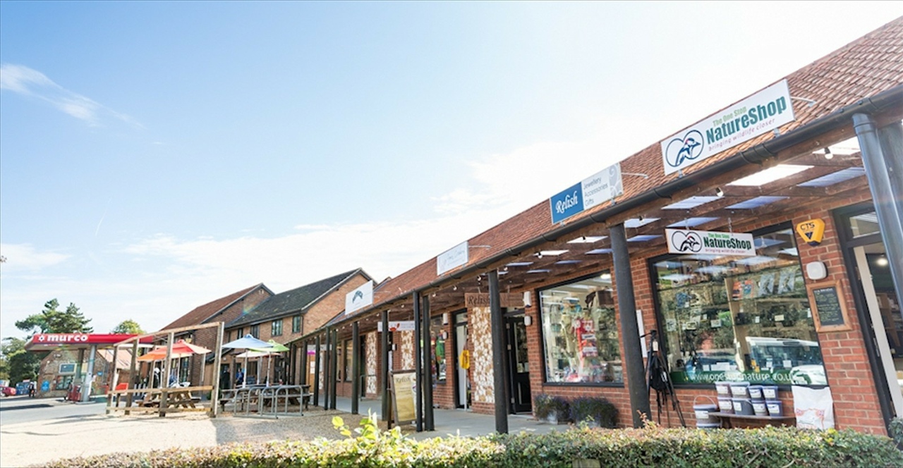 History of the Fens | History & Culture | Discover Norfolk