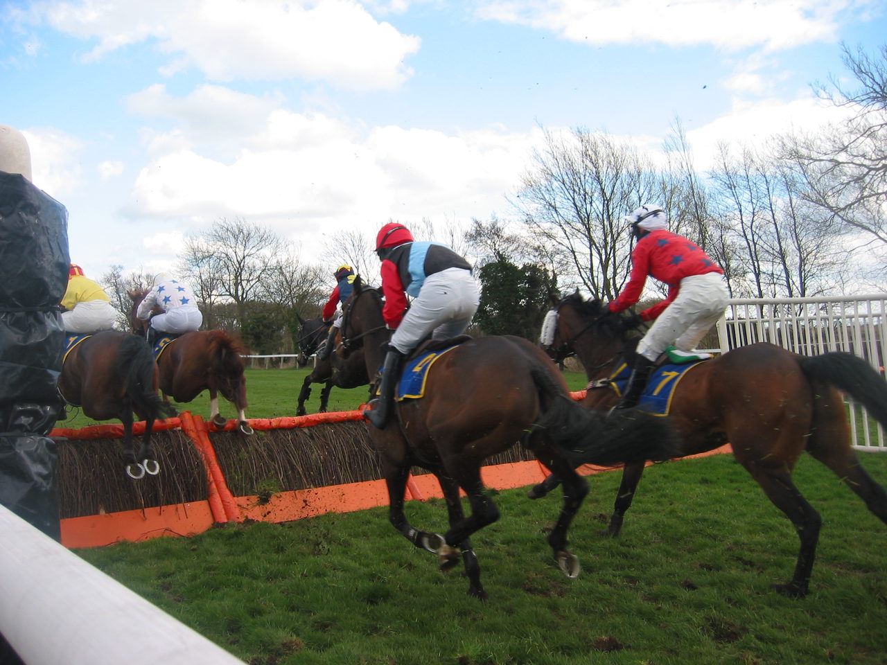 A Day at the Races | Story | Discover Norfolk