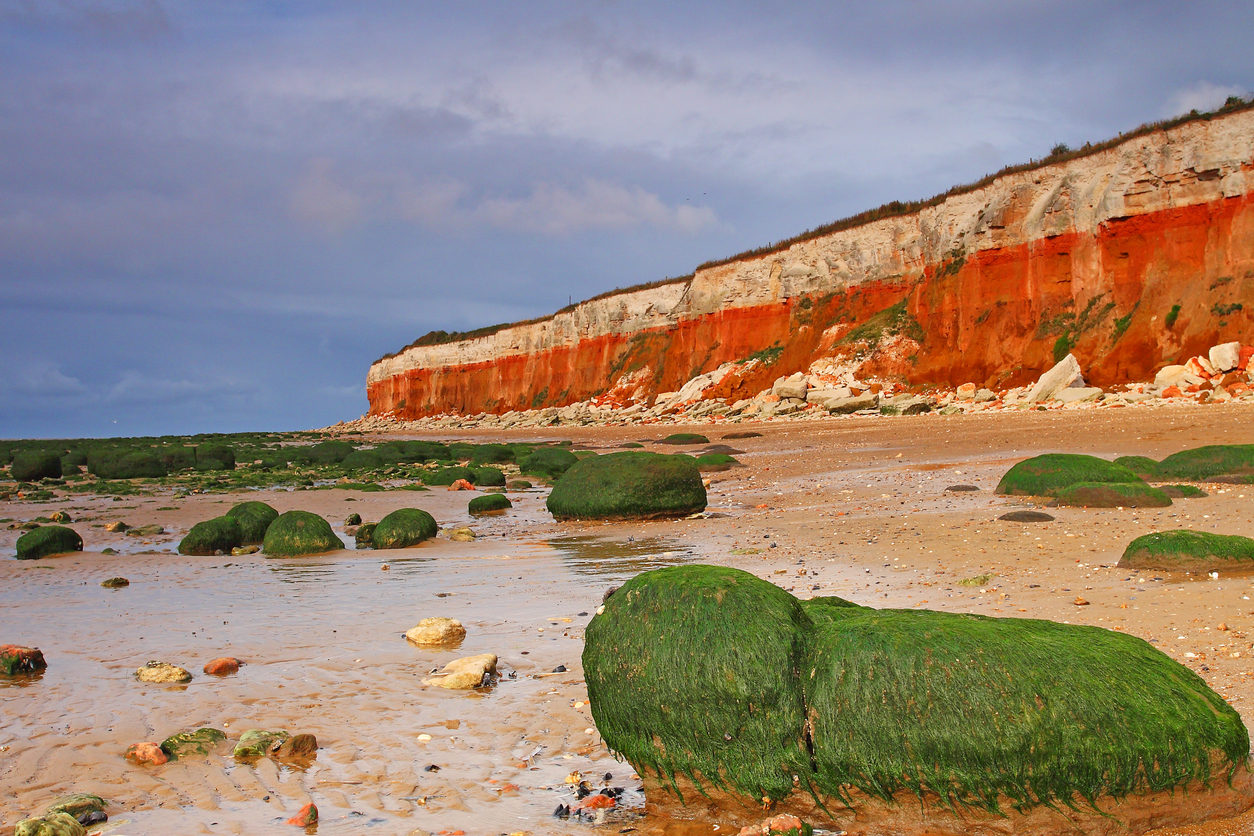 Fossils on the Beach | Norfolk Coast | Discover Norfolk