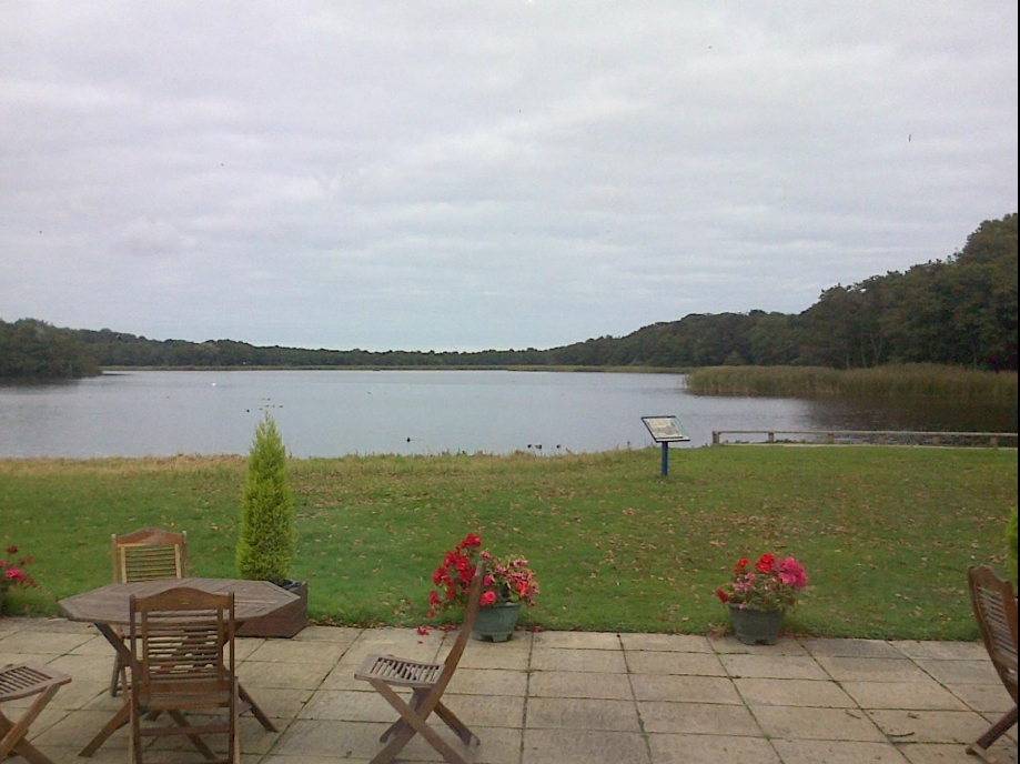 Filby Bridge Restaurant | Restaurant | Cafes | | Discover Norfolk