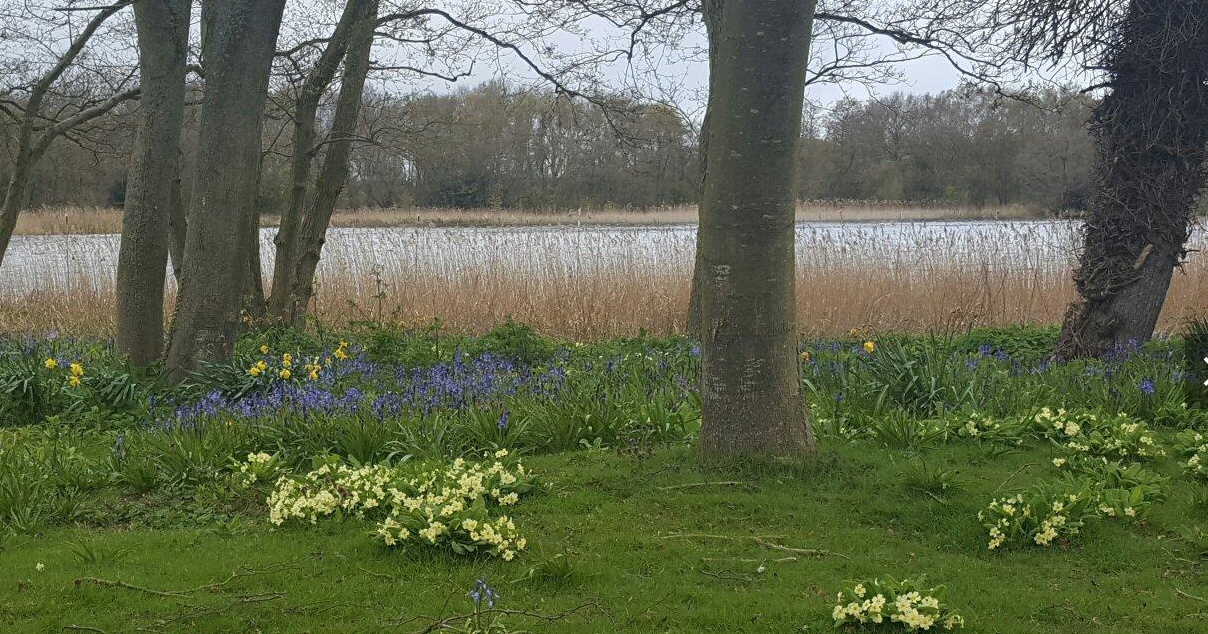 Filby Bridge Restaurant | Restaurant | Cafes | | Discover Norfolk