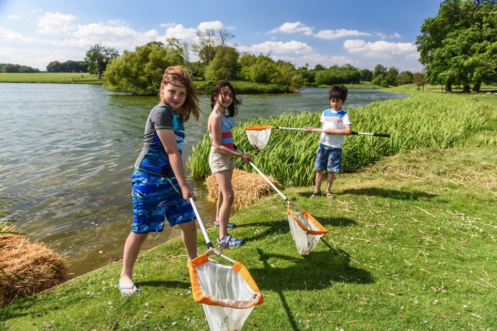 Pond Dipping at Holkham Hall | What's On | | Discover Norfolk