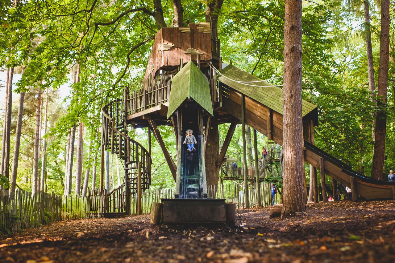 Green Britain centre | Family Activities | Discover Norfolk