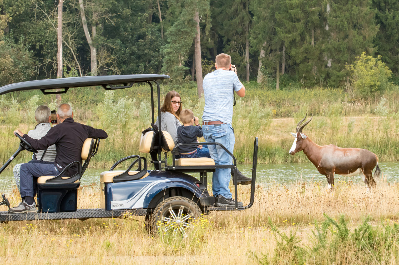Watatunga Wildlife Reserve | Family Days Out | Kings Lynn | Discover ...