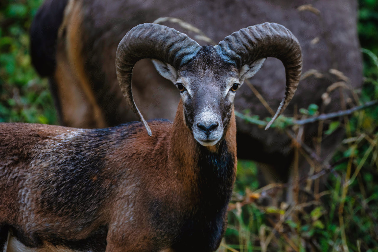 History of the Fens | History & Culture | Discover Norfolk